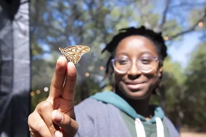 Roots & Wings Festival | Learning | Austin Chronicle