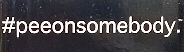 Best Non-Meme Meme 2015 | #peeonsomebody | Media - Critics Picks